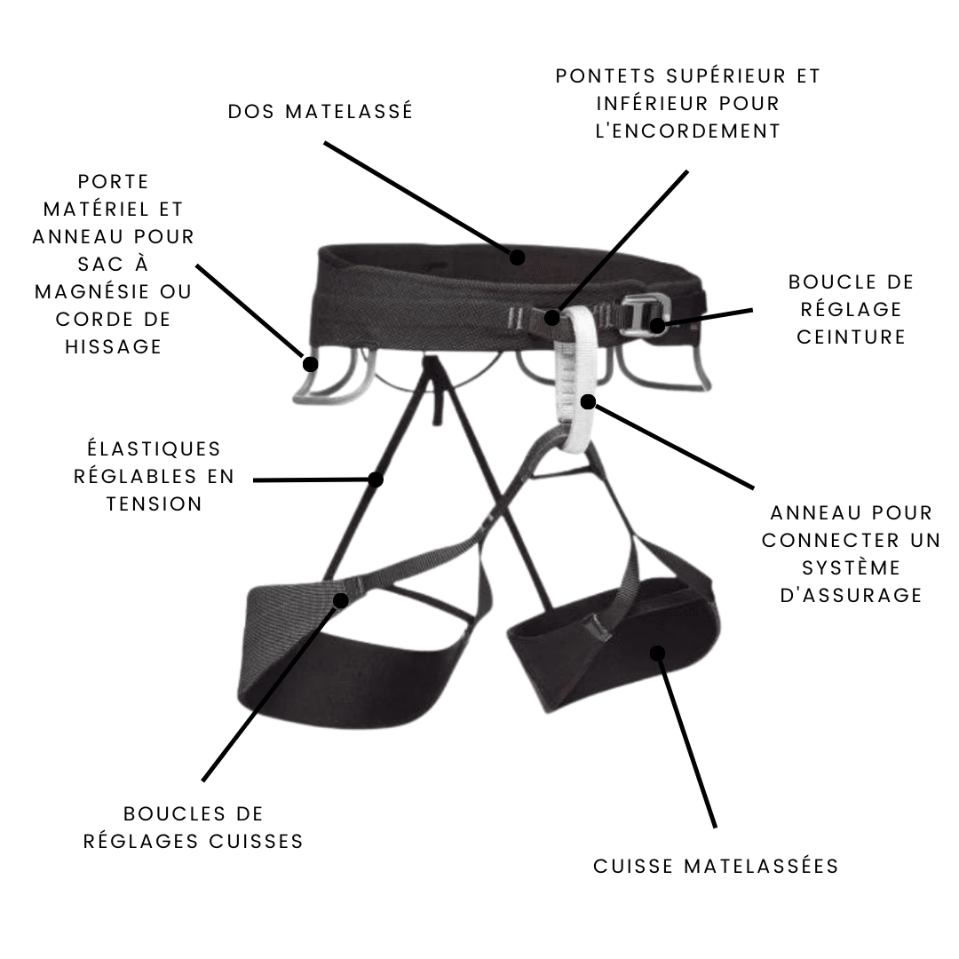 Baudrier escalade : Comment choisir